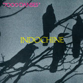 DISCOGRAPHIE – Indochine Records